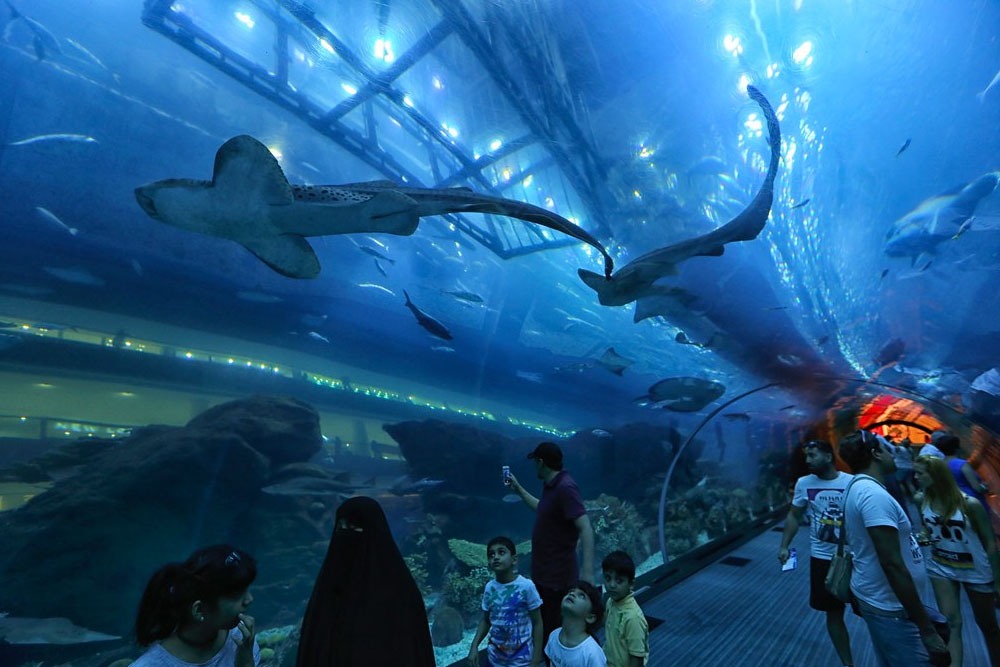 Lost Chambers Aquarium Tickets, Dubai - 2024 Deals