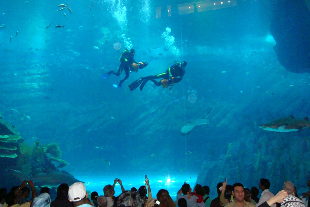 Lost Chambers Aquarium Tickets, Dubai - 2024 Deals