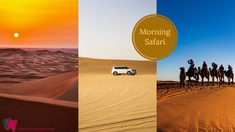 Morning Desert Safari Dubai Deals for Solo and Family