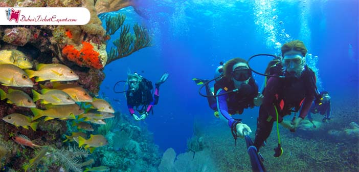 Scuba Diving in Dubai - 22% Discount on Price